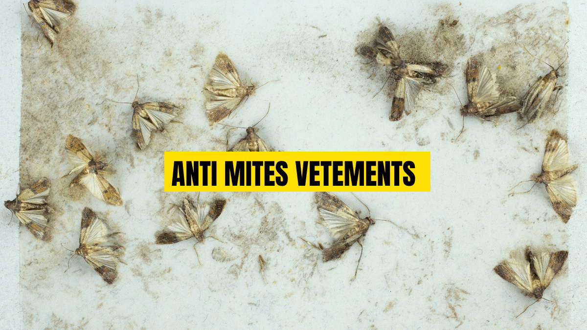 Anti-mites pour vêtements : Solutions et conseils