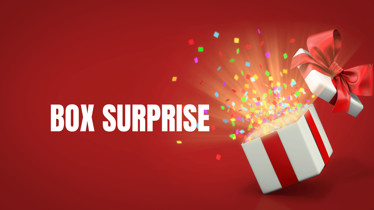 La box surprise: On adore!