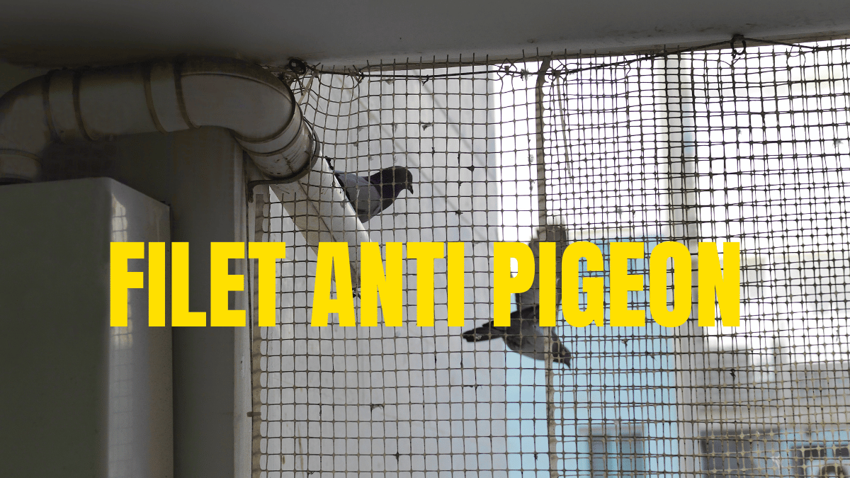 Le meilleur filet anti pigeon