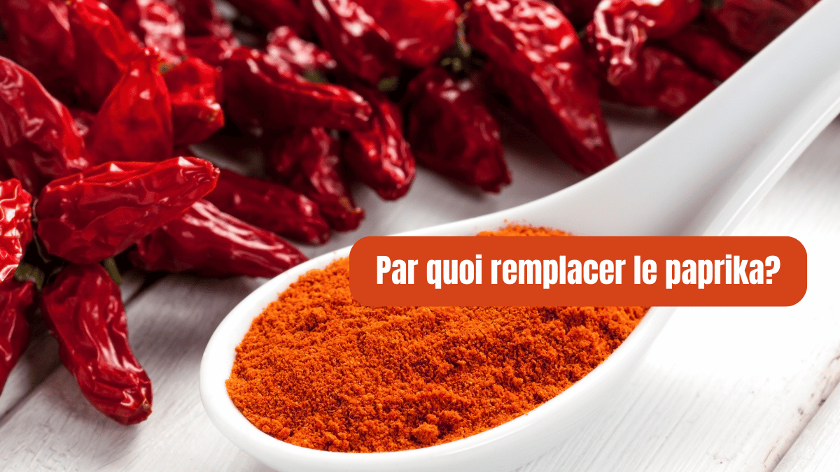 Par quoi remplacer le paprika?