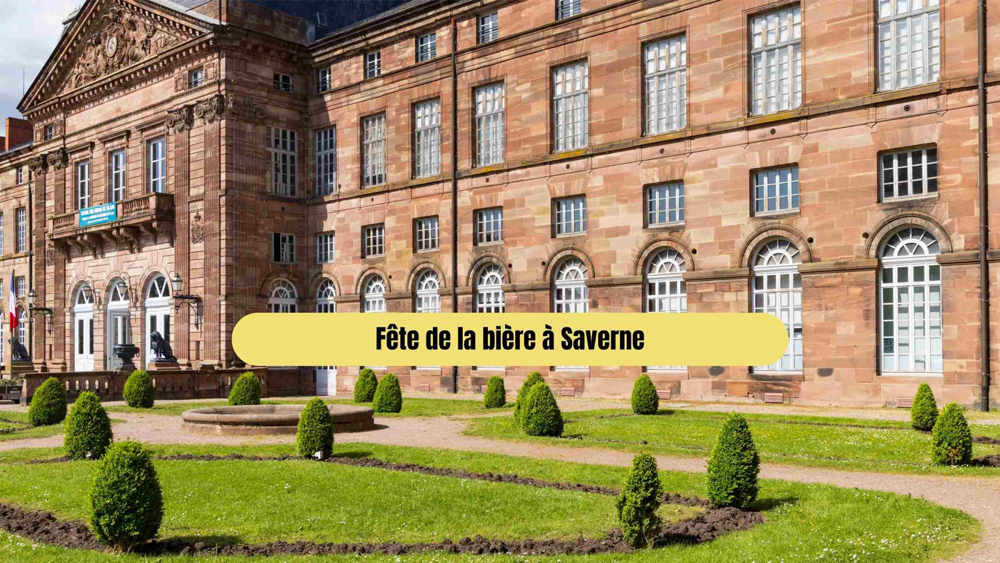 Fête de la bière à Saverne : tout ce qu’il faut savoir en 2025 (et mêm