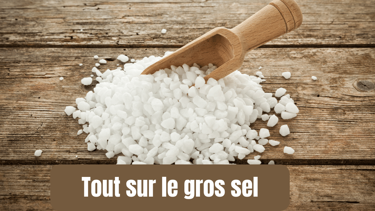 Gros sel: Un ingrédient simple pour des plats remarquables!