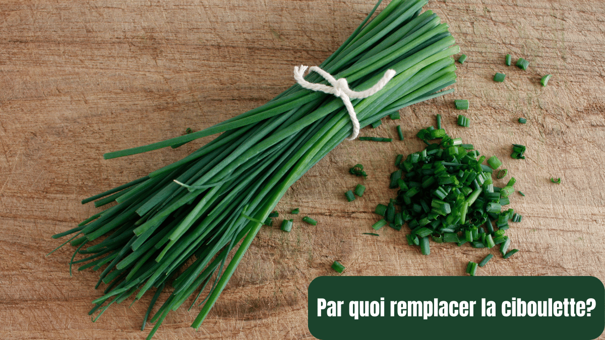 Par quoi remplacer la ciboulette?