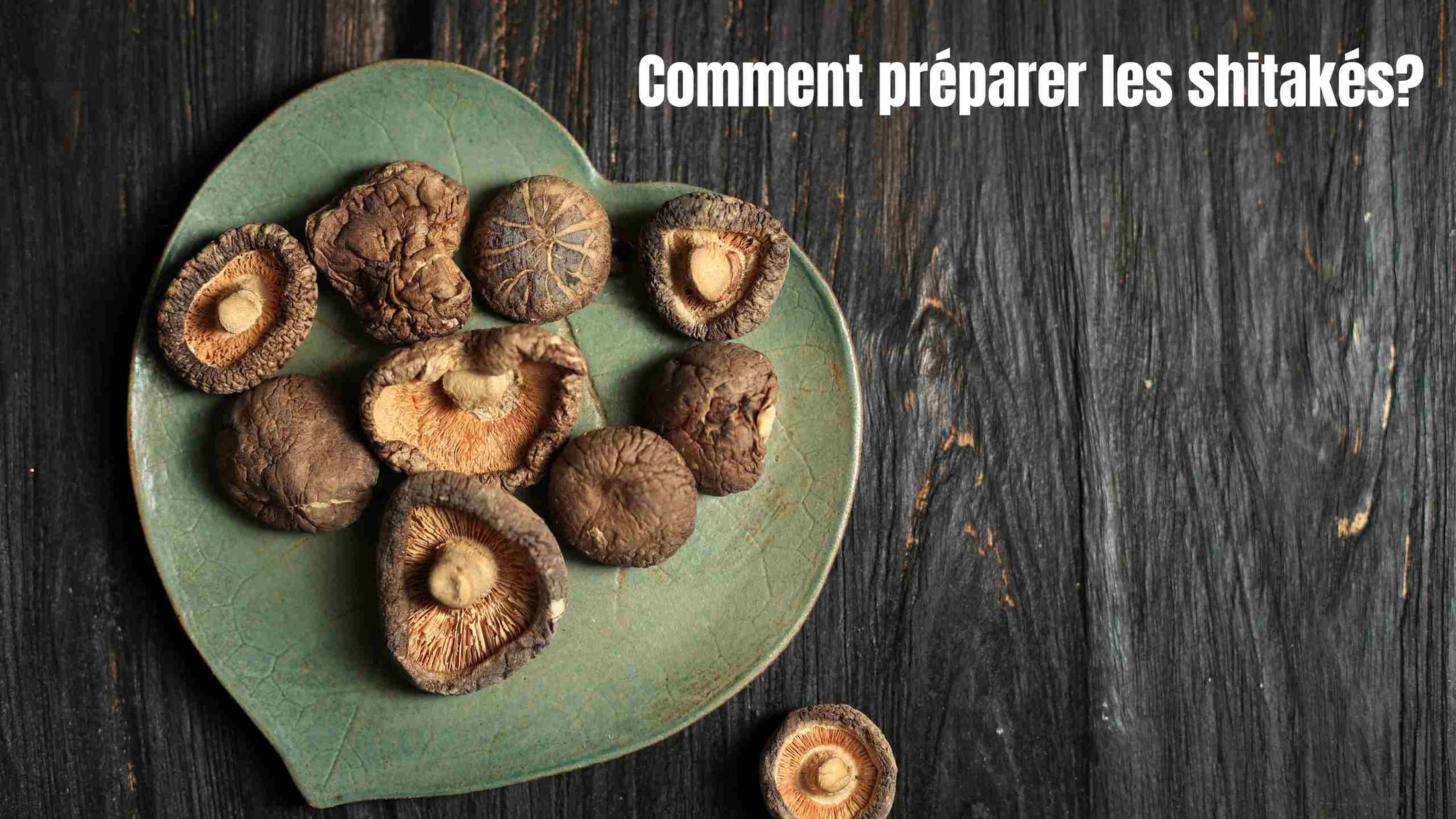 Shiitakés : Ces champignons savoureux qui réveillent vos papilles